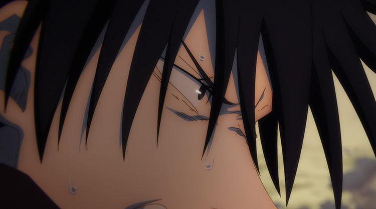 Megumi Fushiguro's Domain Expansion "Chimera Shadow Garden" Deep Analy ...